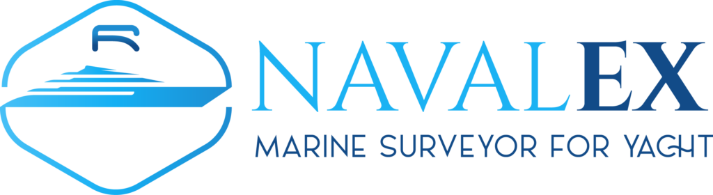 Measurements with drone - Naval Expertise